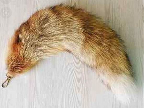 Для бойцов башкирских батальонов в зоне СВО собирают лисьи хвосты - МК Уфа