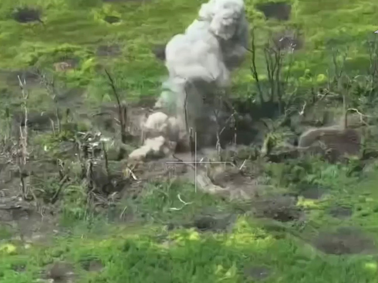 Военный репортер Сладков спрогнозировал «позитивные новости» из зоны ...