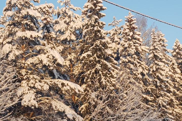 Мороз -28 ударит в Карелии в первый день нового года - МК Карелия
