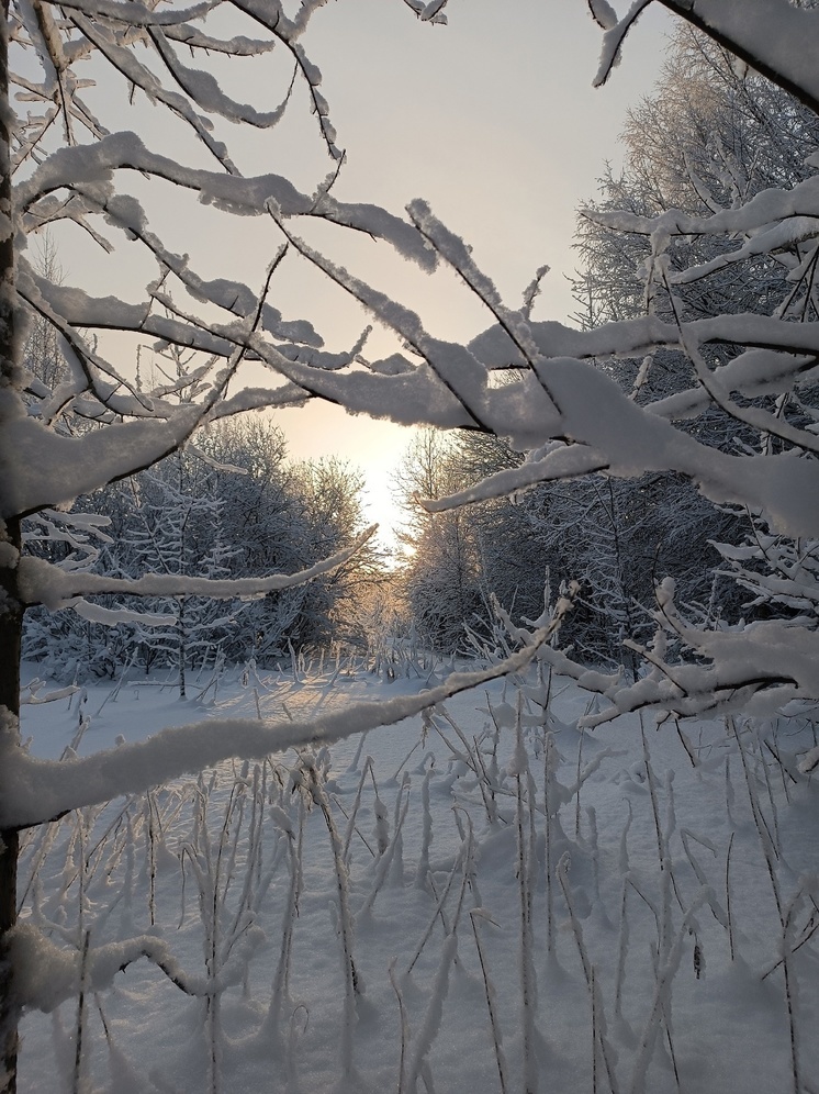 Ханнелоре несет в Карелию лютые холода - МК Карелия