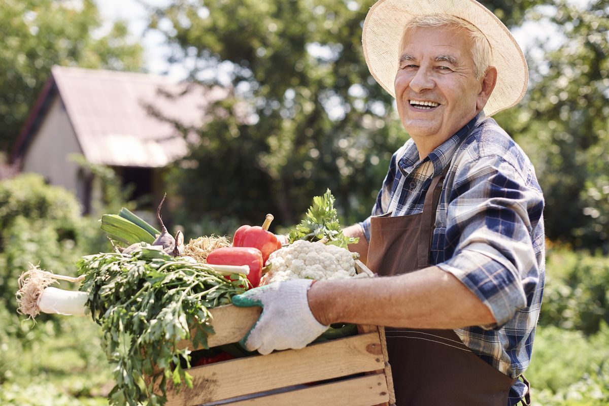 Стартовал новый дачный сезон: рассада на подоконнике и переезд на дачу - МК