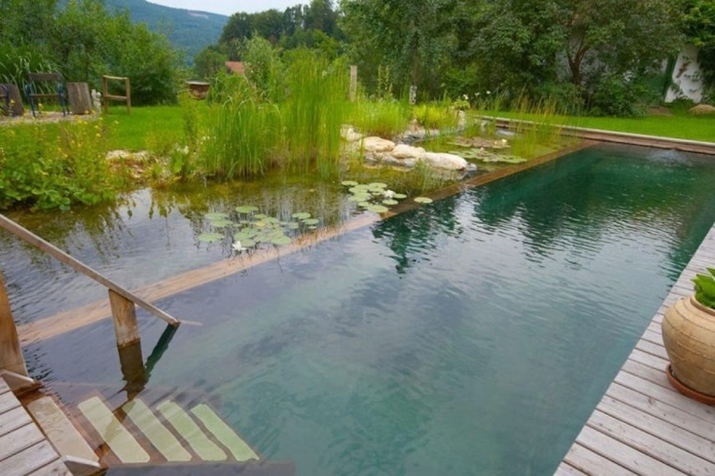 Врач рассказала, какие опасности скрывают водоемы - МК Ярославль