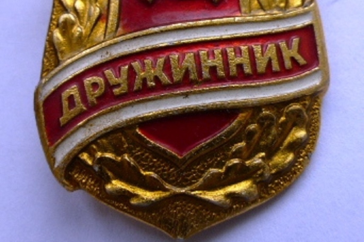 На севере Подмосковья возродят дружины - МК