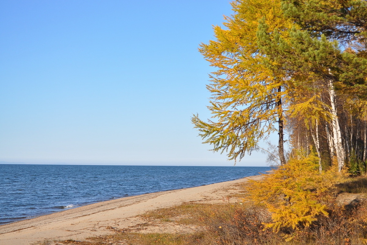 Ученые обнаружили уникальные водоросли в Байкале - МК