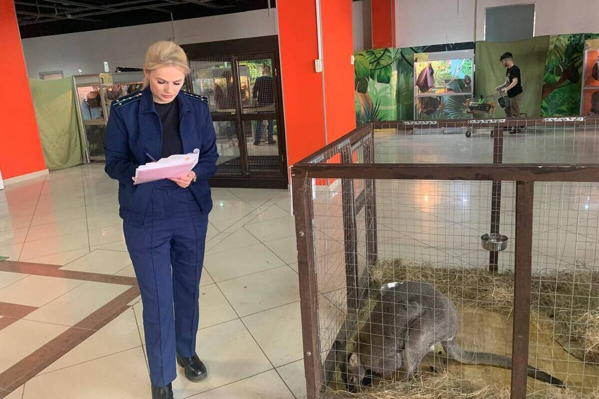 Омский зоопарк Zooland попал под внимание прокуратуры - МК Омск