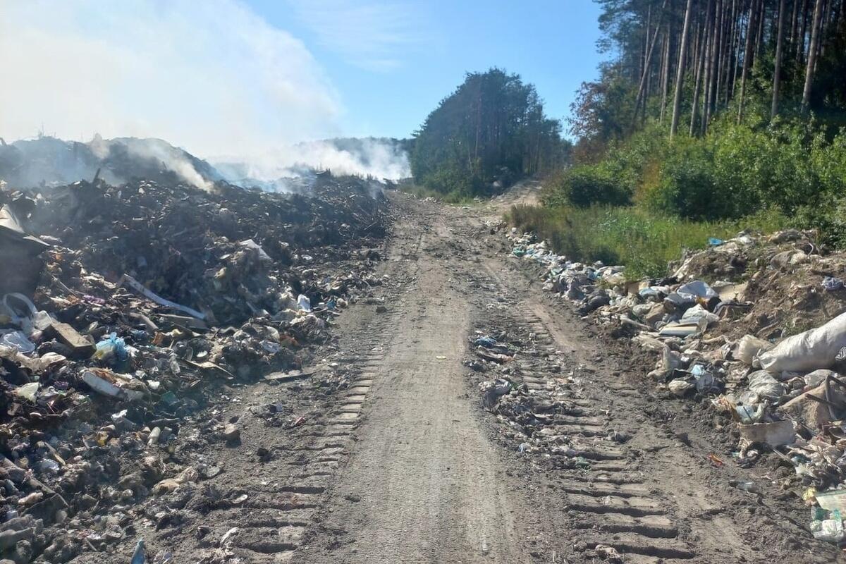 Пожар на мусорной свалке в Медвежьегорске локализован - МК Карелия