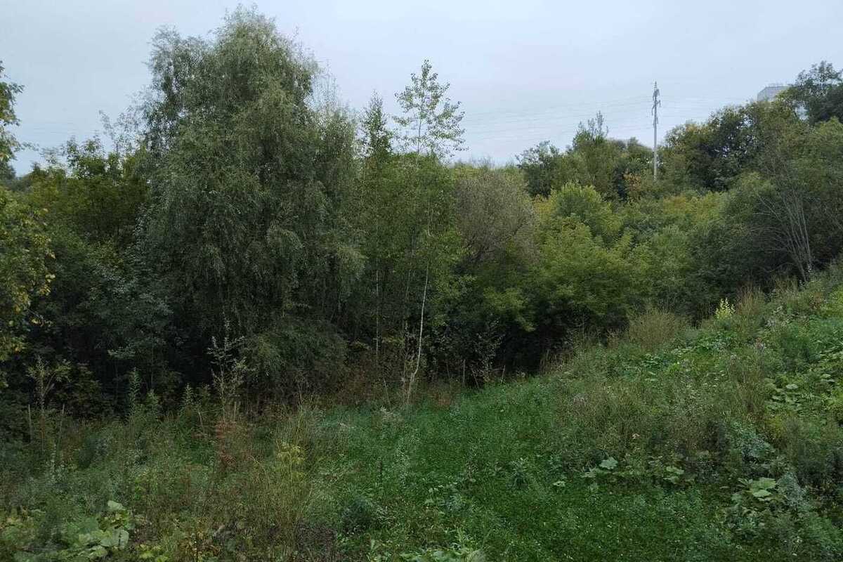 В Пермь пришло небольшое потепление - МК Пермь