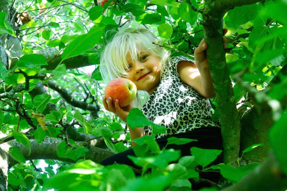 20 сентября: какой сегодня праздник - МК