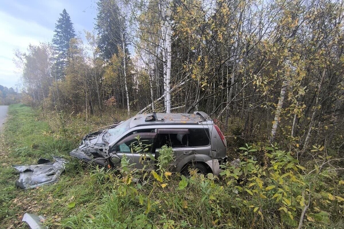 Водитель иномарки в Томском районе врезался в дерево - МК Томск