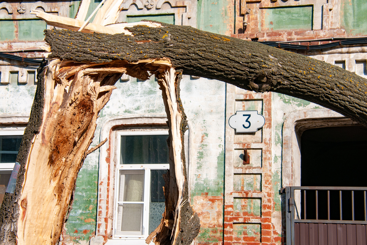 3 октября: что категорически нельзя делать на Астафия Ветряка - МК