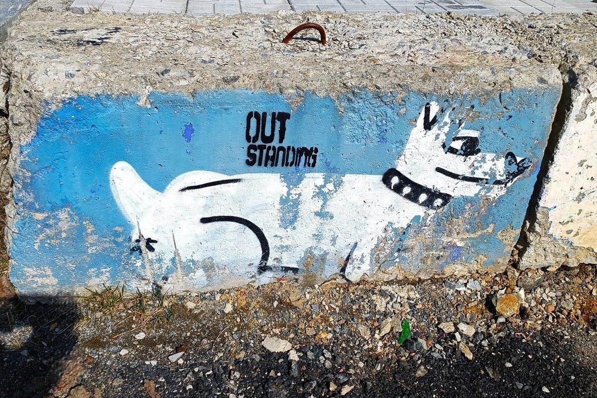 В Верхней Пышме прошел суд по факту драки собак - МК Екатеринбург