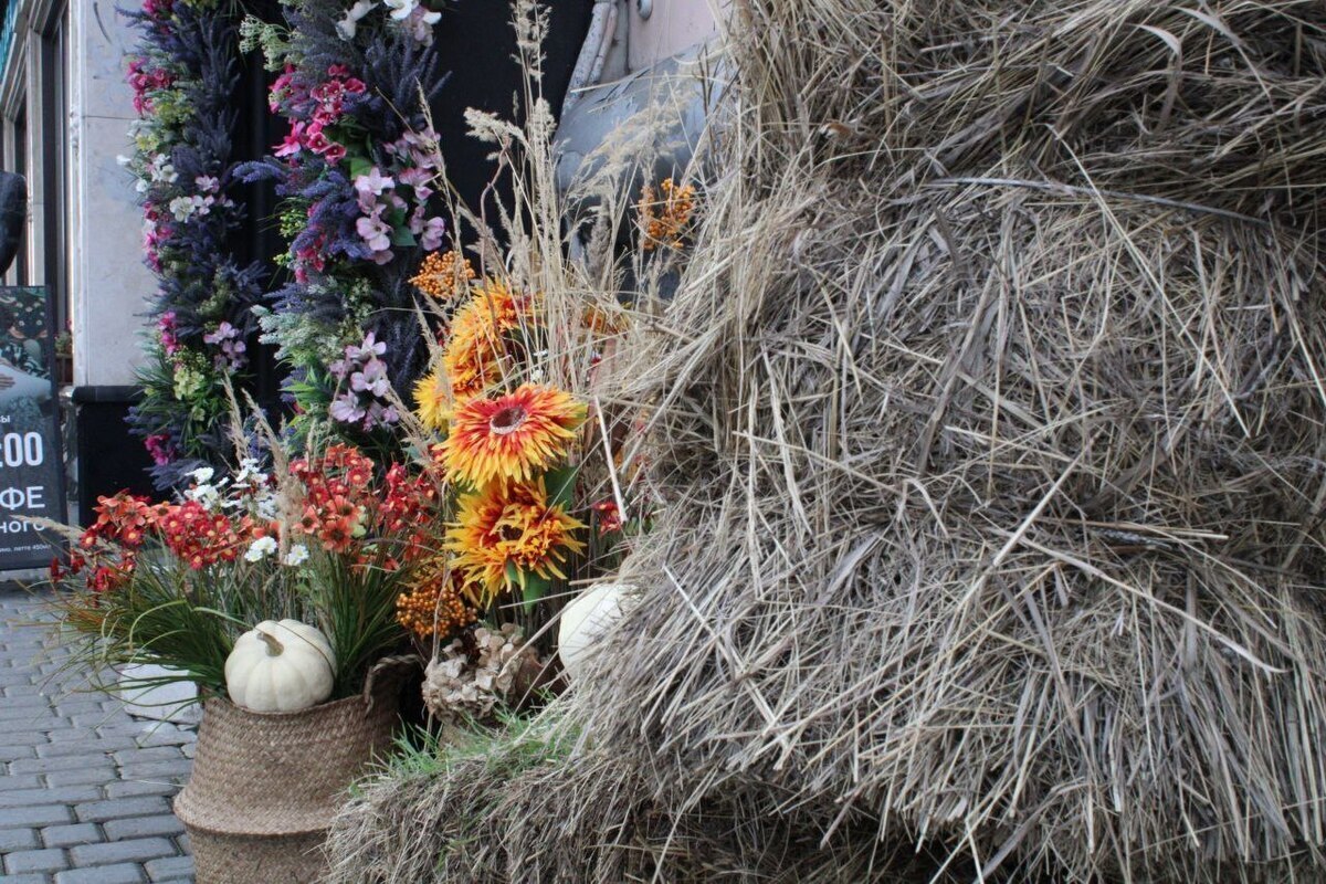 Потепление придет в Алтайский край в конце рабочей недели - МК Барнаул