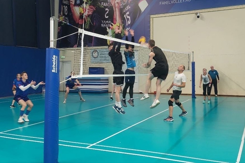 Трудящиеся Серпухова сыграли в волейбол - МК Серпухов