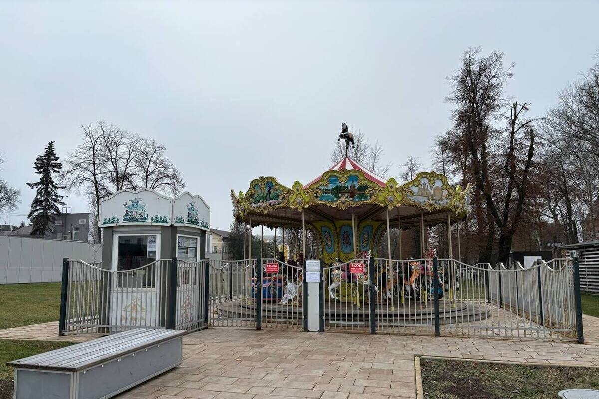 В Туле обслуживание карусели у Кремля будет стоить 1,72 млн рублей - МК ...