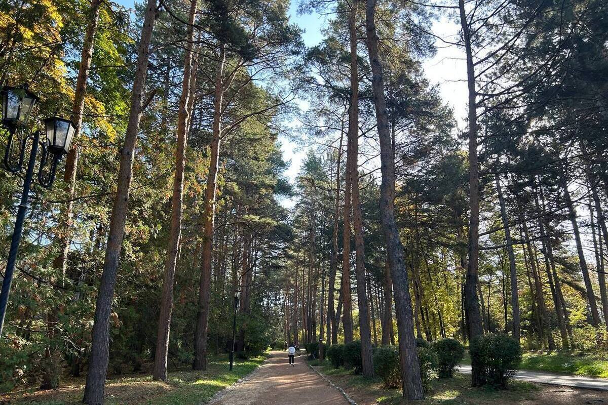 В Кисловодске 29 ноября пройдет масштабная экологическая акция по ...