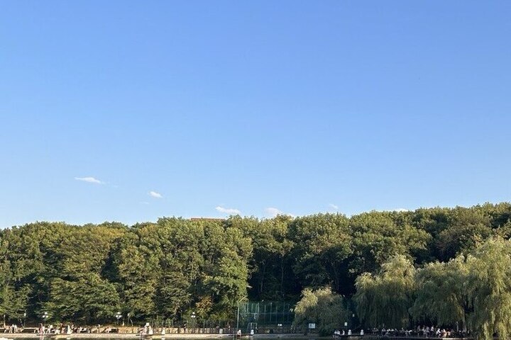 В Железноводске установили фотоловушки для охраны леса и наблюдения за ...