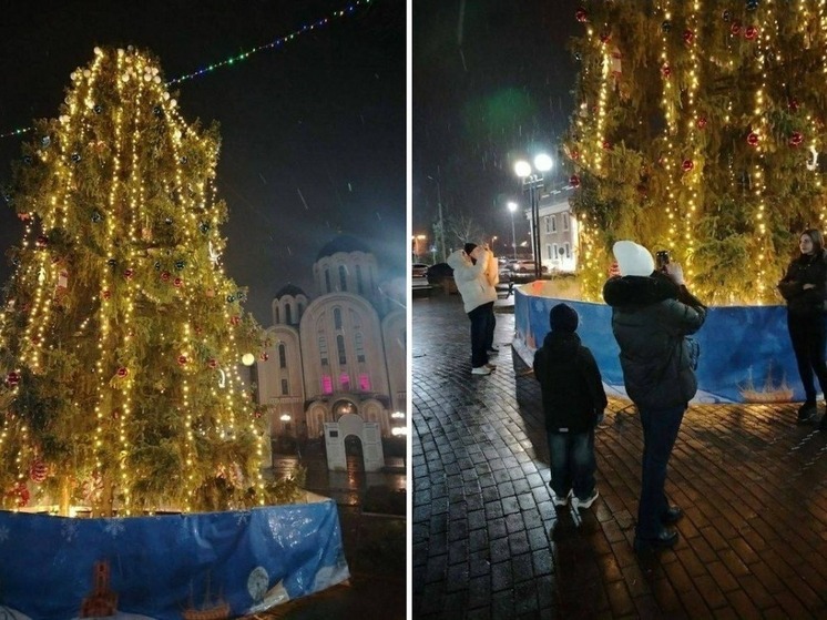 Новогодняя ель из Великого Устюга украсила городскую площадь в ДНР - МК ...