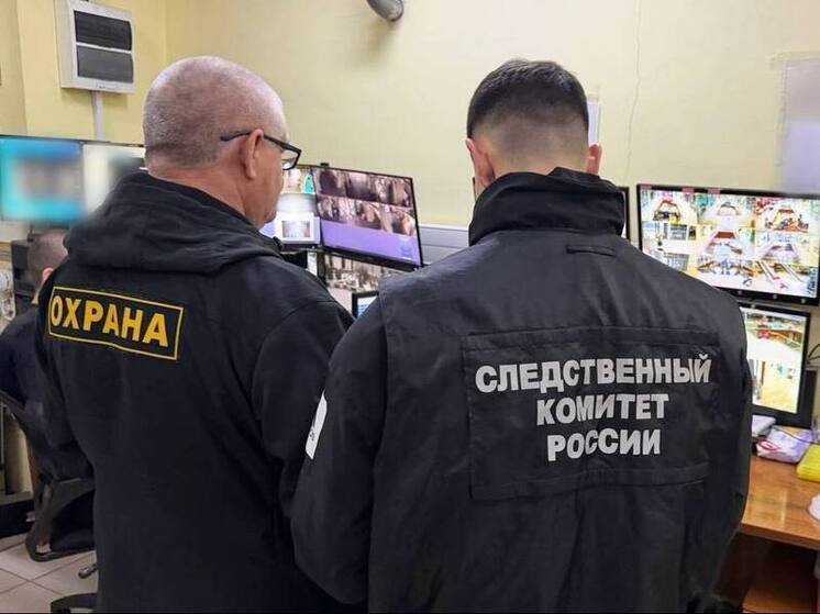 В Саратове возбуждено дело о хулиганстве после драки у ТЦ «ТАУ Галерея» - МК Саратов