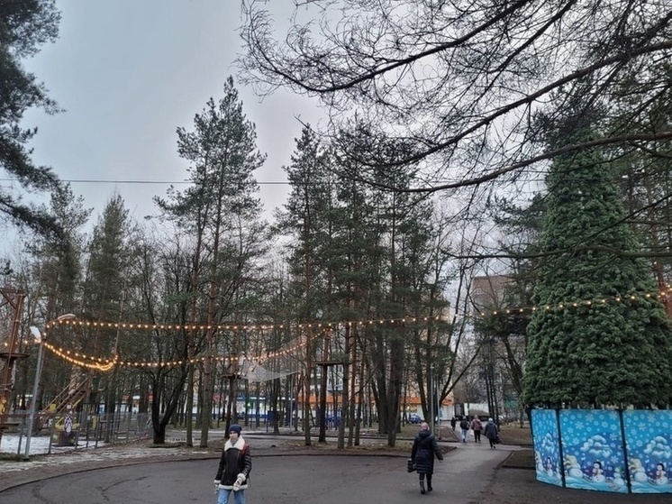 Брагинцам объяснили, почему их район остался без новогодних гуляний ...