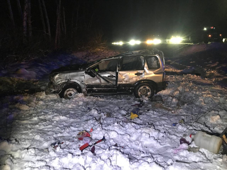 Двое взрослых и трое детей пострадали в ДТП на трассе в Рязанской ...