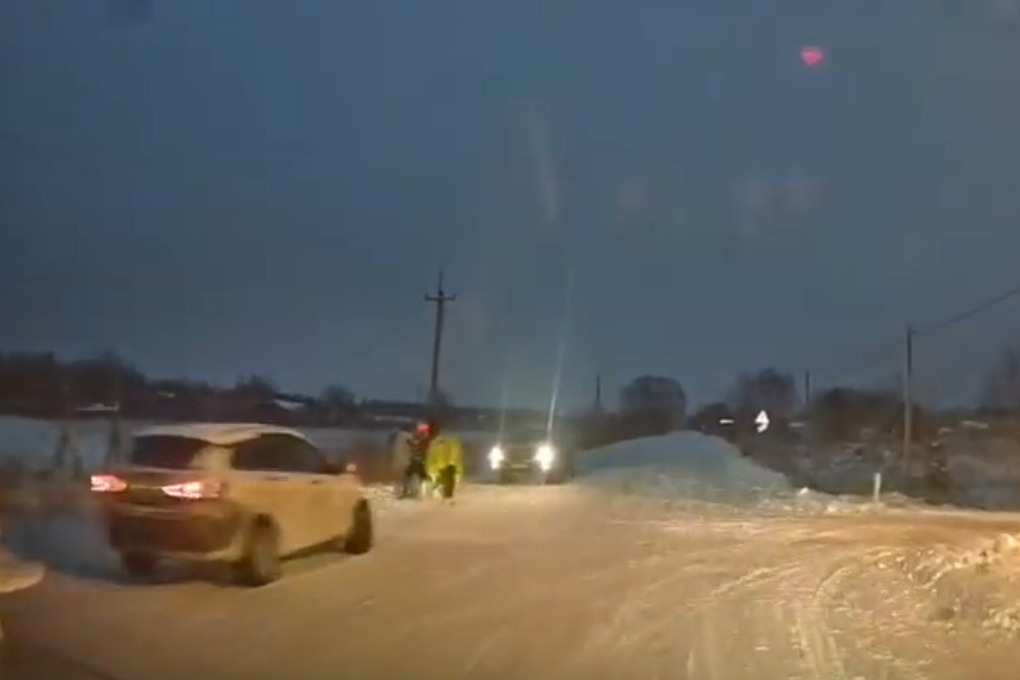 В Ярославском районе лыжники боятся кататься по лесу из-за «конников ...